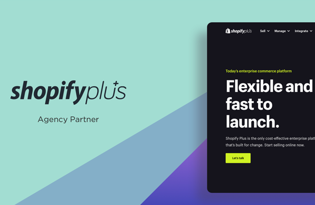 Do You Need a Shopify Plus Agency? – Webinopoly